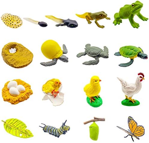 17 PCS Life Cycle Figures of Frog,Chicken,Sea Turtle, Butterfly, Early ...
