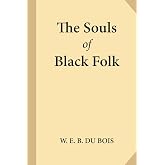 Illustrated Souls of Black Folk (Annotated, Illustrated, Documentary ...