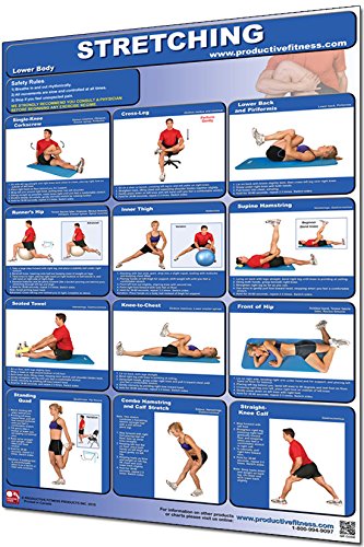 Buy Stretching-Lower Body Laminated Poster/Chart; How to Stretch ...