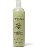 Amazon.com : Proclaim Coconut Oil Anti-Breakage Shampoo : Beauty
