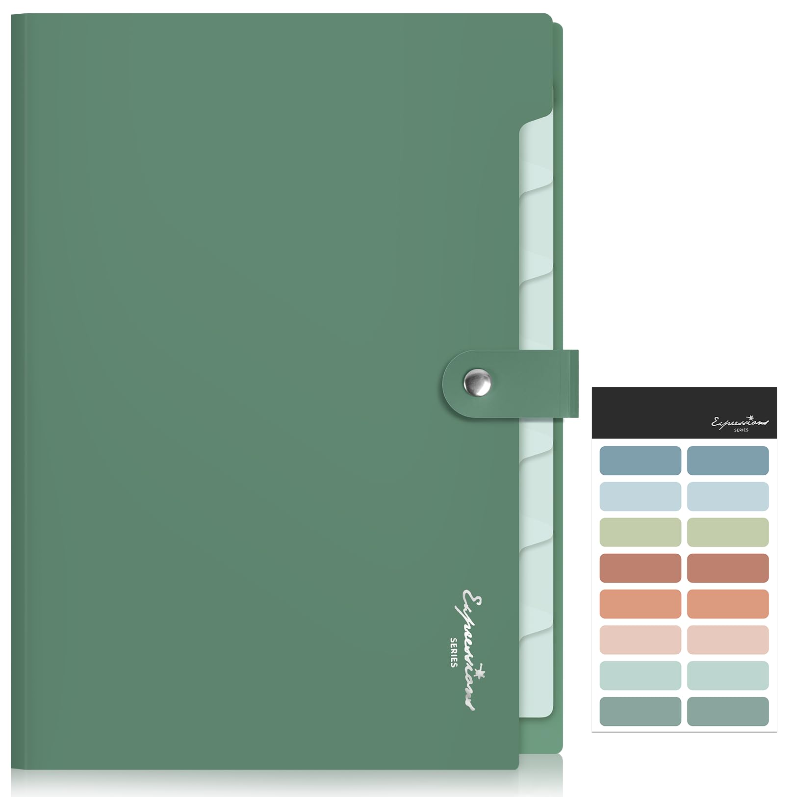 Mua Elegant Accordion File Organizer with Labels, 8 Pocket Expanding ...