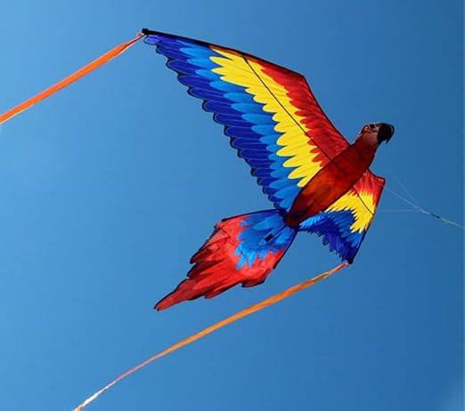YHWW Kites,Colorful parrot kite large bird single line to prevent ...
