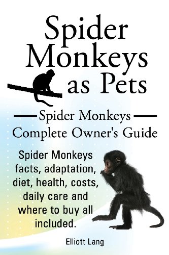 Spider Monkeys as Pets. Spider Monkeys Facts, Adaptation, Diet, Health ...
