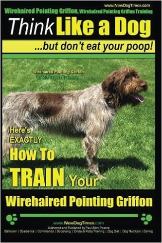 Wirehaired Pointing Griffon - 犬種の本