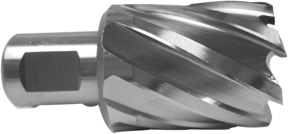 Amazon.com: 7/16" HSS Annular (Hole) Cutter - 1" Depth: Everything Else