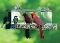Amazon.com : Duncraft 74205 Cardinal One Way Mirror Window Bird Feeder ...