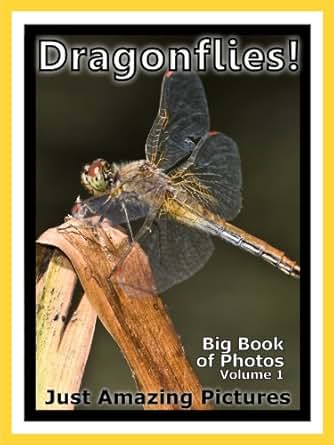 Just Dragonfly Photos! Big Book of Photographs & Pictures of ...
