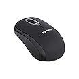 Amazon.com: Amazon Basics Wireless Computer Mouse with USB Nano ...