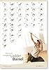 STOTT PILATES Wall Chart - Complete Ladder Barrel in Oman | Whizz Barrels