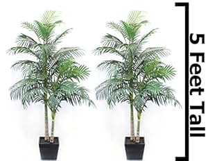 Amazon.com: 5 Ft Palm Tree Golden Cane Areca Silk Green ( 2 Pack ...