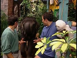 Watch Zoboomafoo - Season 2 | Prime Video