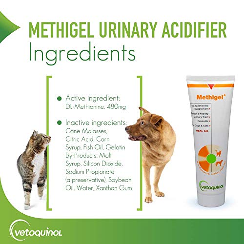 Vetoquinol Methigel Urinary Acidifier To Promote Urinary And Bladder ...