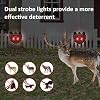 Redeo Solar Nocturnal Animal Repeller Predator Control Light Coyote ...