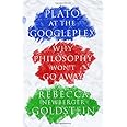 Plato at the Googleplex: Why Philosophy Won't Go Away: Goldstein ...