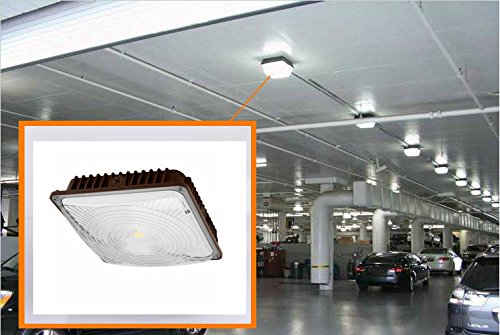 CYLED 65W LED Canopy Light Industrial Waterproof Explosion-Proof ...
