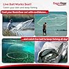 BasicGear Cast Net | Zinc Iron, 8ft Radius, 1/4 inch Mesh for ...