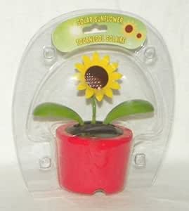 Amazon.com: SOLAR DANCING FLOWER - SUNFLOWER (Red Pot) - Bubble Package ...