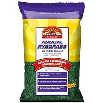 Amazon.com : GRASS SEED PREMIUM RYE GULF ANNUAL OREGON GROWN 50 LBS ...
