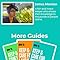 How To: Keep & Care for Praying Mantis: The Easy & Educational Pet: Pet ...