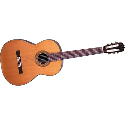 Takamine Concert Classic 132S Acoustic Guitar Nepal | Ubuy