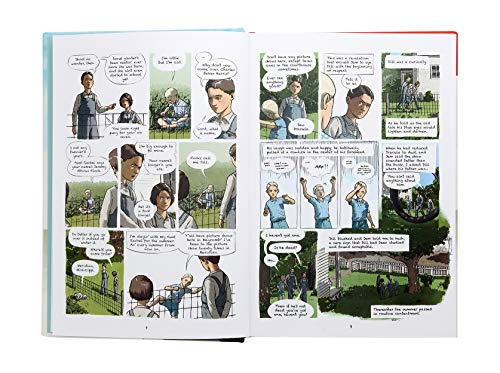 To Kill a Mockingbird: A Graphic Novel | Pricepulse