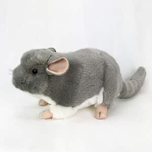 Amazon.com: Chinchilla 8.5 inches, 12 inches with Tail, 23cm, Plush Toy ...