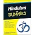 Amazon.com: HINDUISM: Hinduism for Beginners: Guide to Understanding ...