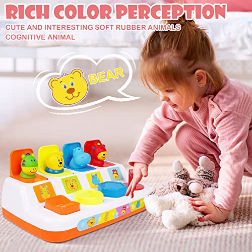 GenJuw Baby Pop Up Toy- Colorful Cause and Effect Toys for Babies ...