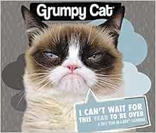 Grumpy Cat Year-In-A-Box Calendar (2017): Year-In-A-Box: 9781682091272 ...