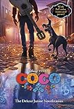 Coco Big Golden Book (Disney/Pixar Coco): Malin Alegria, The Disney ...