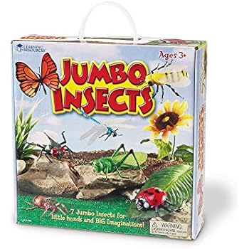 Amazon.com: REALBUG Butterfly Lifecycle 4pc Set: Toys & Games