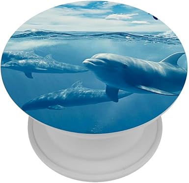 Amazon.com: Dolphin 5 Phone Stand Plastic Collapsible Grip Flexible ...