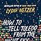 How to Tell Toledo from the Night Sky: A Novel: Netzer, Lydia ...