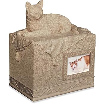 Amazon.com : Cat Memorial Urns Ashes - Sitting Cat Cremation Brass Urn ...