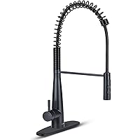 Amazon.com: OYMOV RV Kitchen Faucet w/Pull Down Sprayer - Single Handle ...