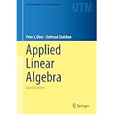 Linear Algebra (Undergraduate Texts in Mathematics): Lang, Serge ...