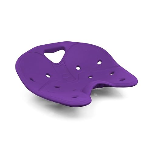 BackJoy SitSmart Posture Core Seat Cushion, Designed for Lower Back ...