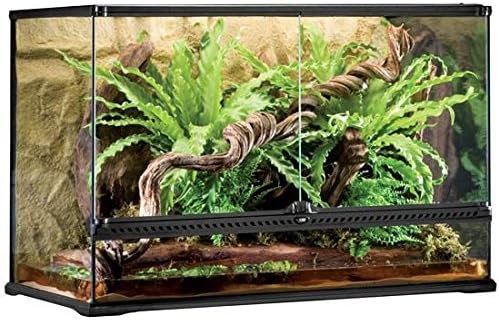Best Iguana Cage 2021 - Reviews and Guide - Animal Hype