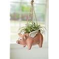 Amazon.com: KALALOU CDV2243 Ceramic Hanging Flying Pig Planter : Patio ...