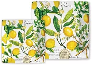 Amazon.com: Michel Design Works Luncheon and Dessert Square Paper ...