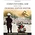 Amazon.com: Constitutional Law and the Criminal Justice System ...