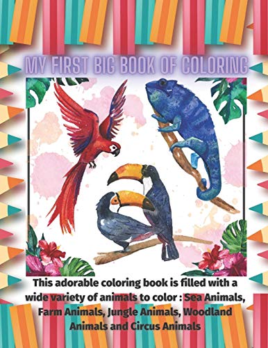 My First Big Book of Coloring - This adorable coloring book is filled ...