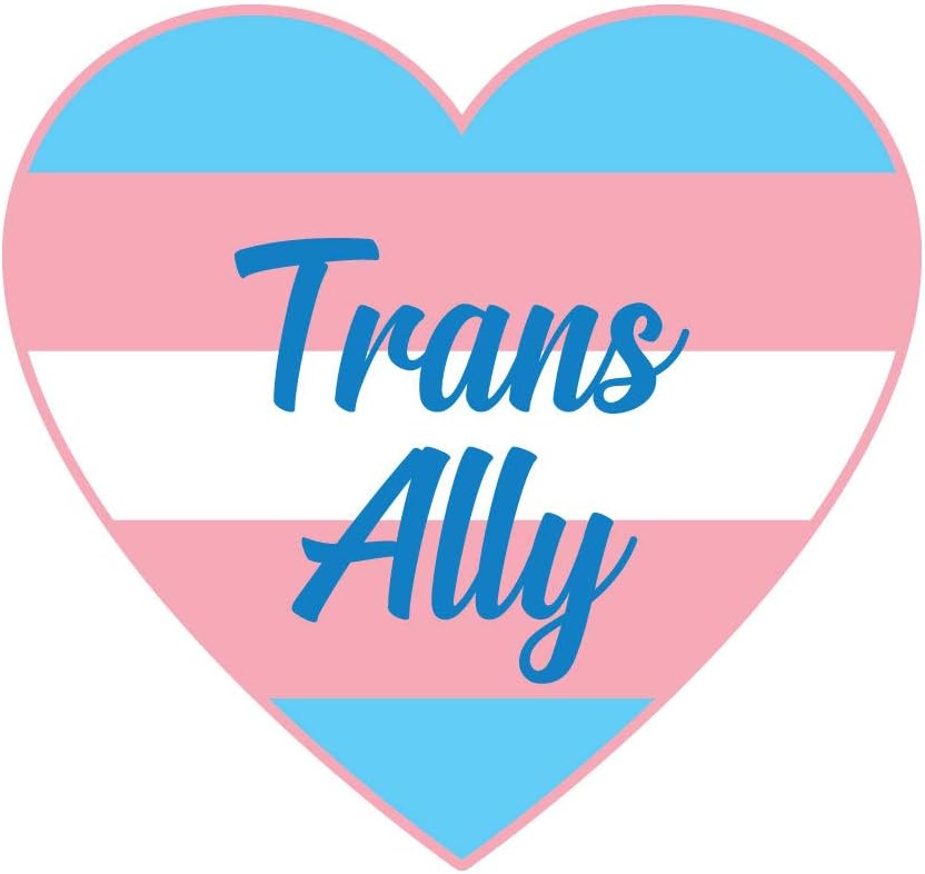 Amazon.com: Dark Spark Decals Transgender Ally, Trans Ally - 4 Inch ...