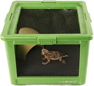 Amazon.com : CrawlMiracle® Portable Reptile Terrarium Tank Travel ...