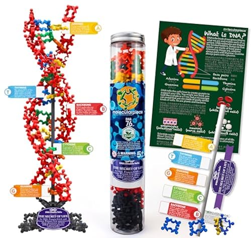molecularpiece: DNA Double Helix Structure Model (76 pcs) 4D STEM ...