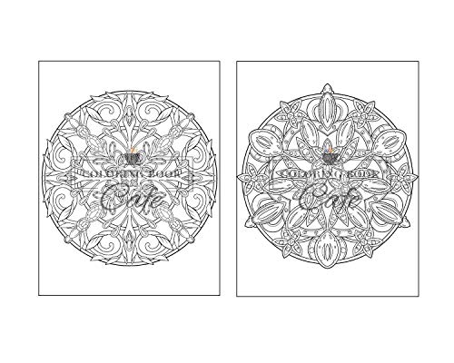 Gemstone Mandalas: An Adult Coloring Book Featuring the World's Most ...