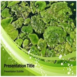 Amazon.com: Algae Powerpoint Templates - Algae Powerpoint (PPT ...