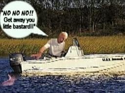 Amazon.com: President Carter,Killer Rabbits & UFO's: Denis Taaffe ...