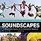 Soundscapes: Exploring Music in a Changing World: Shelemay, Kay Kaufman ...