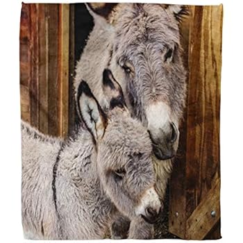 Amazon.com: TSlook 60x80 Blankets Funny Donkey Comfy Funny Bed Blanket ...